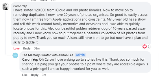 The Memory Curator