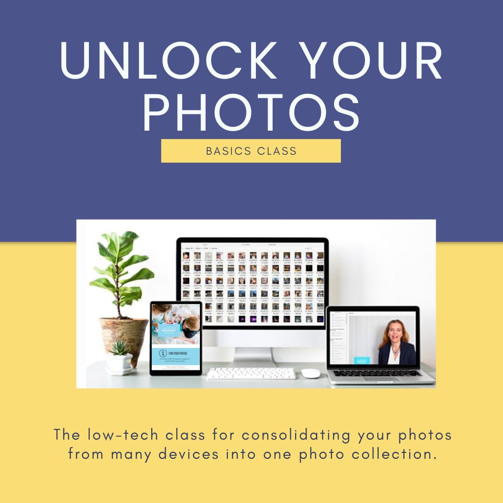 Where to Start – The Memory Curator
