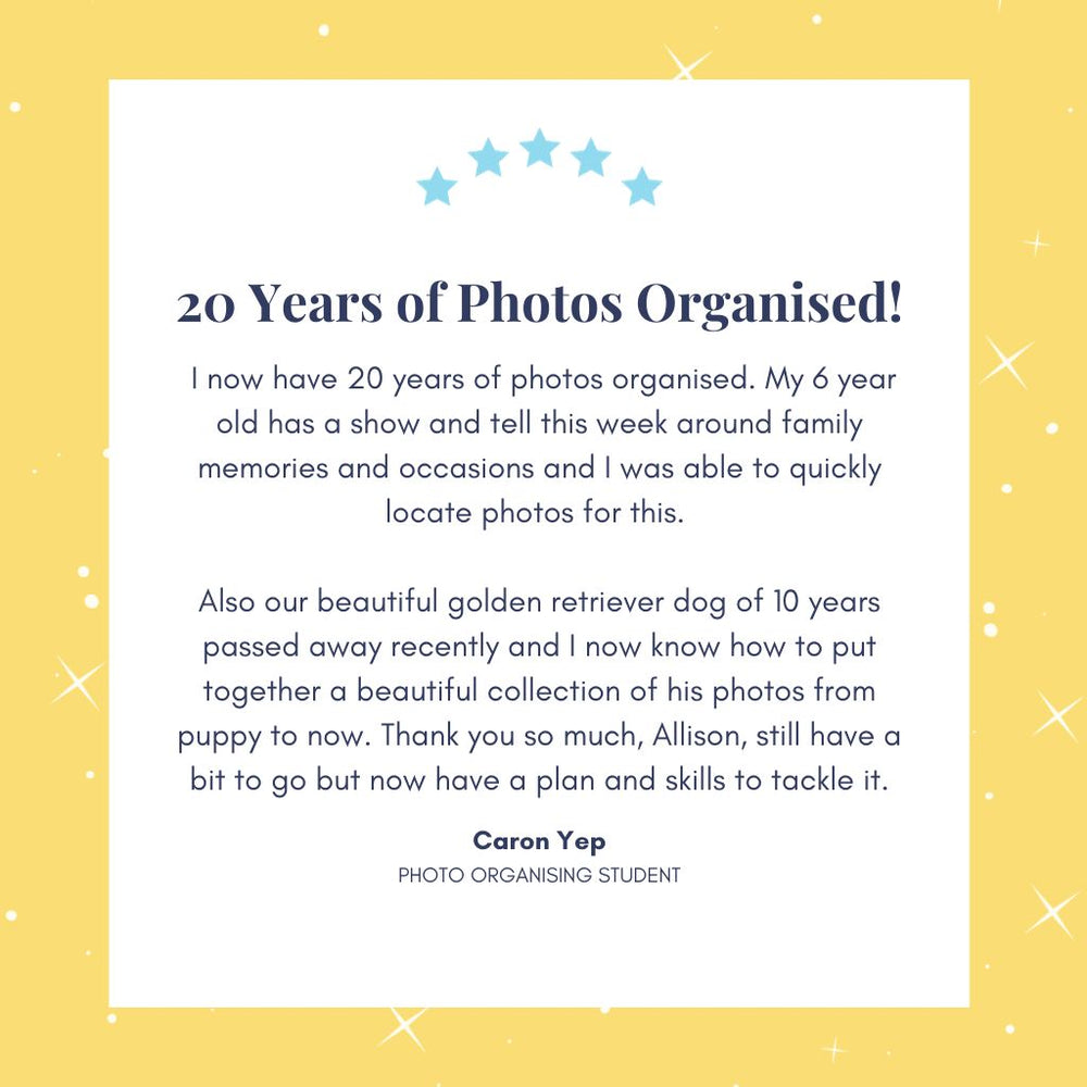 The Memory Curator