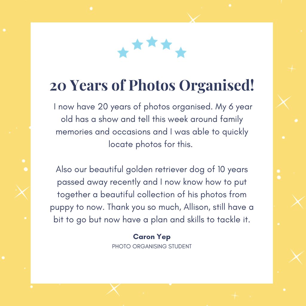 The Memory Curator