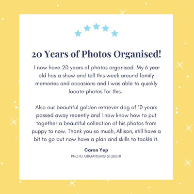 The Memory Curator