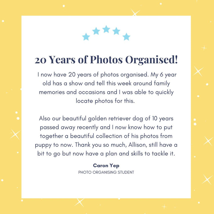 The Memory Curator
