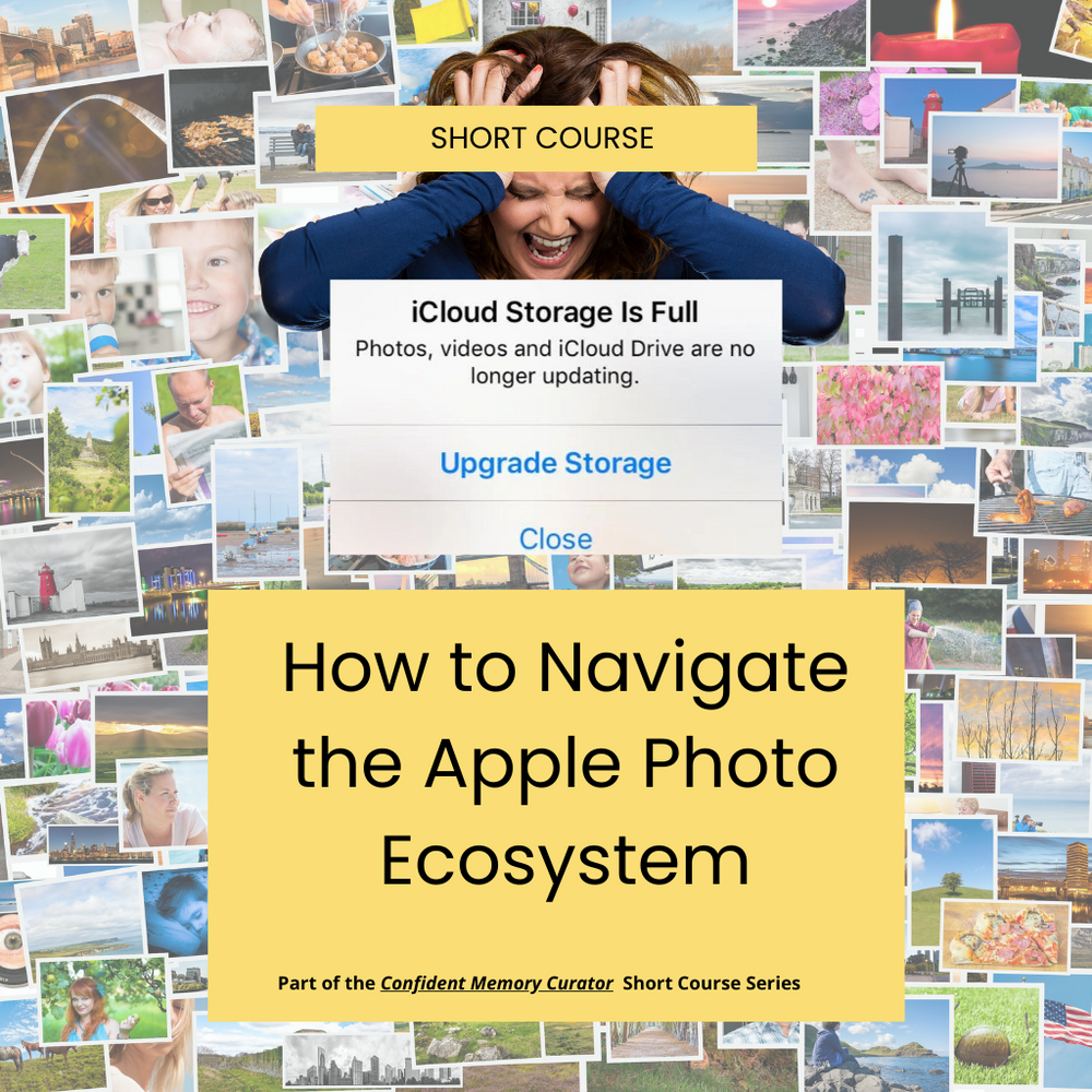 Collections – The Memory Curator